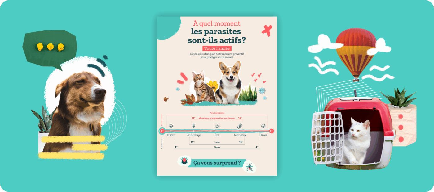 Projets réalisés pour CDMV | Bang Marketing